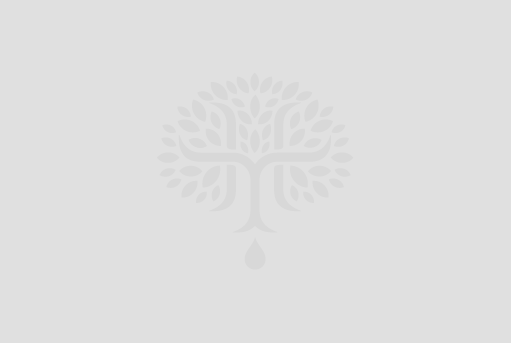 Store Locator | Honey Tree